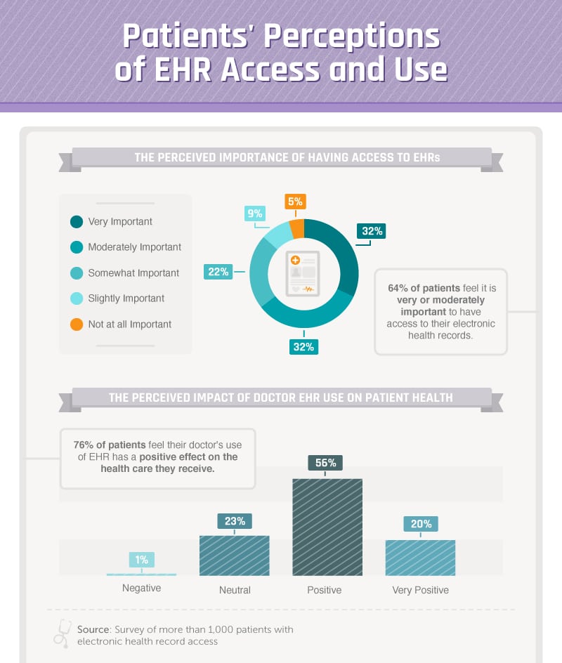 Patient and Professional Perceptions of Electronic Health Records ...