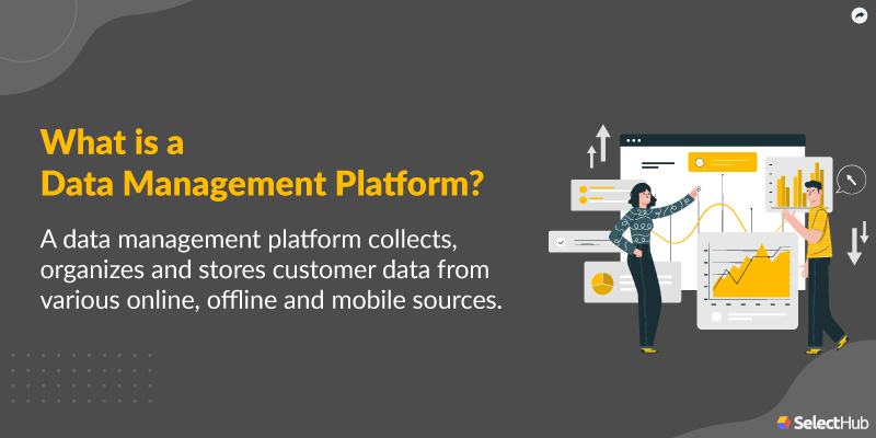 What is a Data Management Platform (DMP)? 2024 Ultimate Guide