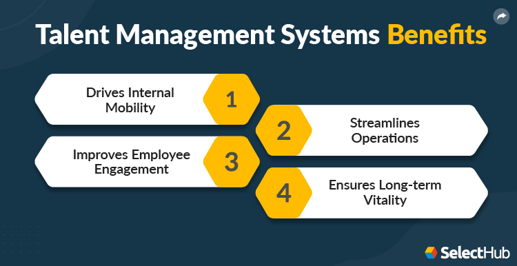Best Talent Management System Software Companies Comparison 2025