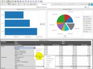 Microsoft BI Tools 2024 | Microsoft Business Intelligence Software