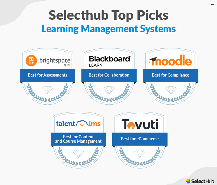 Top Learning Management System LMS Examples In 2023