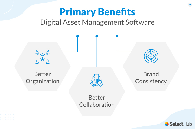 Best Digital Asset Management Software Comparison & Reviews 2025