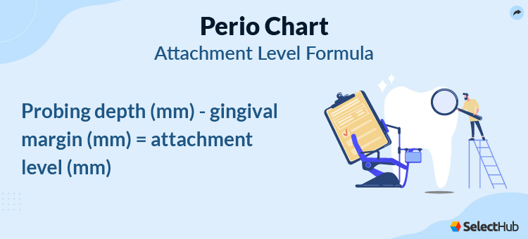 Perio Chart - 2025 Comprehensive Guide
